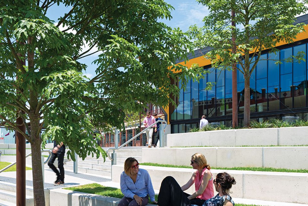 The Plaza at the Brisbane Showgrounds | Landscape Australia