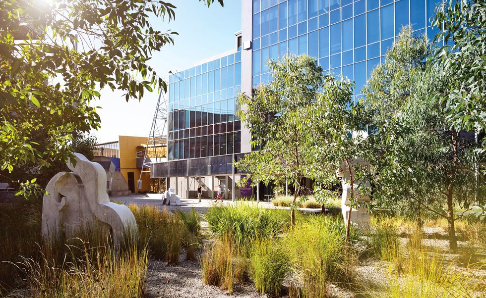 The Ian Potter Sculpture Court | ArchitectureAU