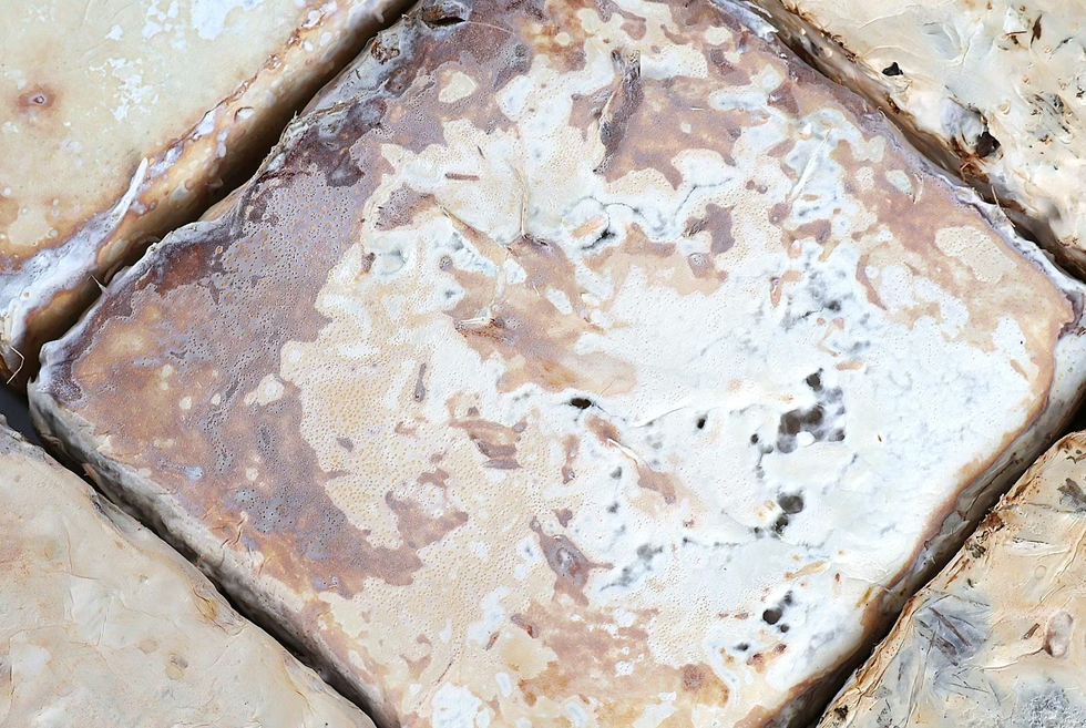 We think of mushrooms as food – but mycelium-based blocks could be the ...