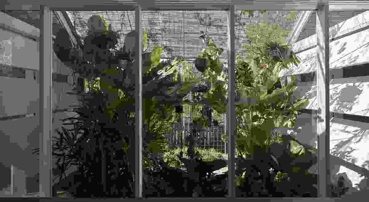 Hopscotch House by JOHN ELLWAY | ArchitectureAu