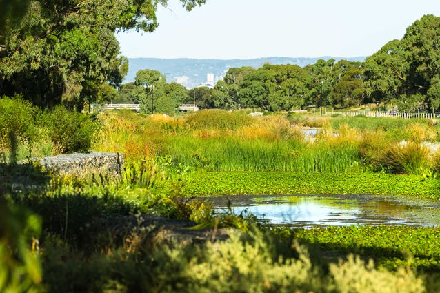 Winners announced: 2025 SA Landscape Architecture Awards | Landscape ...
