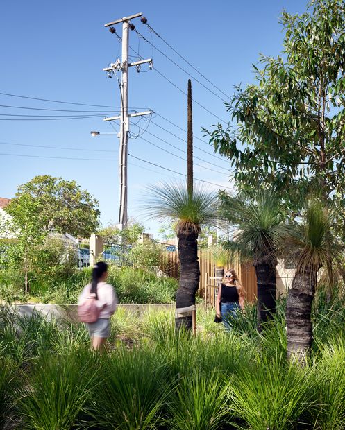 Reconciliation garden opens at University of Queensland | Landscape ...