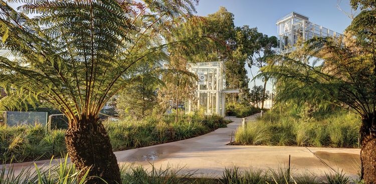 Blending into site: Sydney Modern | Landscape Australia