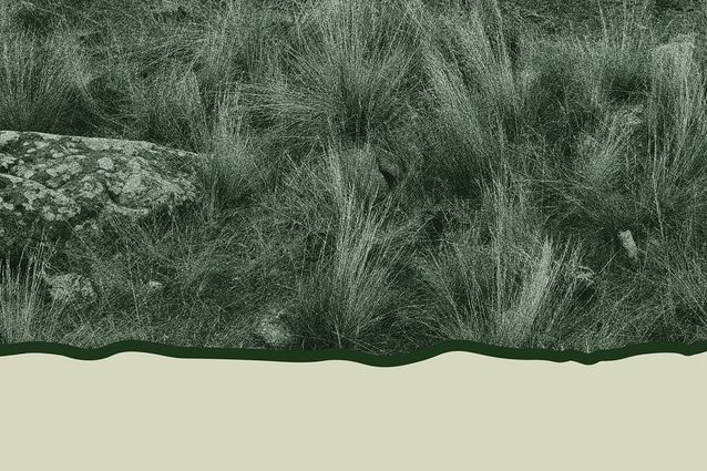 Ground Matters Australasian Student Architecture Congress | ArchitectureAu