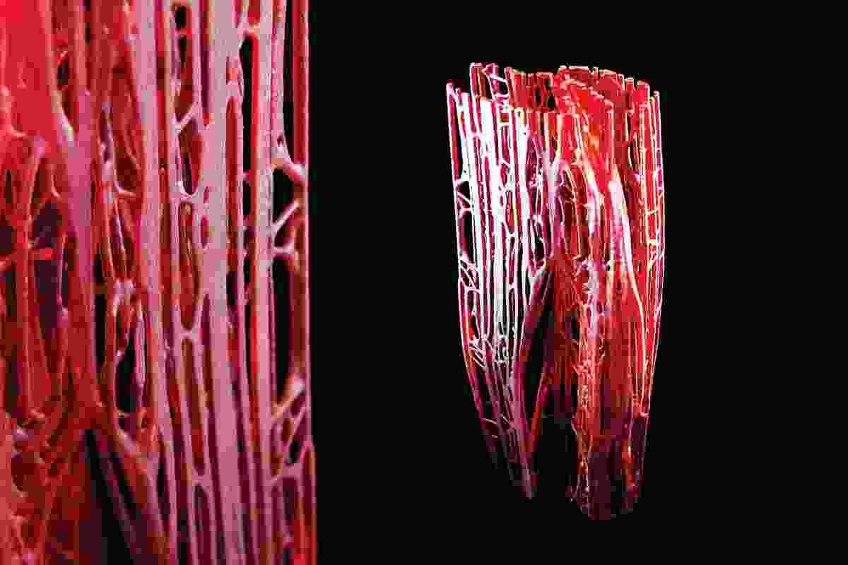 Detail as procedural information | ArchitectureAu