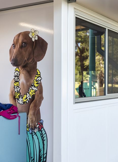 ‘Playful’ pop-up school accommodates Sydney students | ArchitectureAu