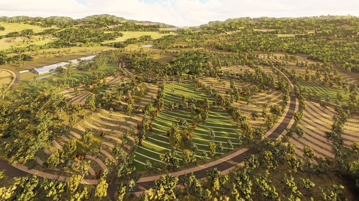 Draft masterplan for Canberra "bush cemetery" revealed | Landscape ...