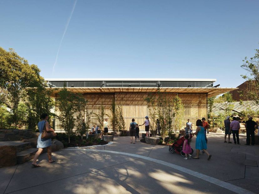 Giant Pandas | ArchitectureAu