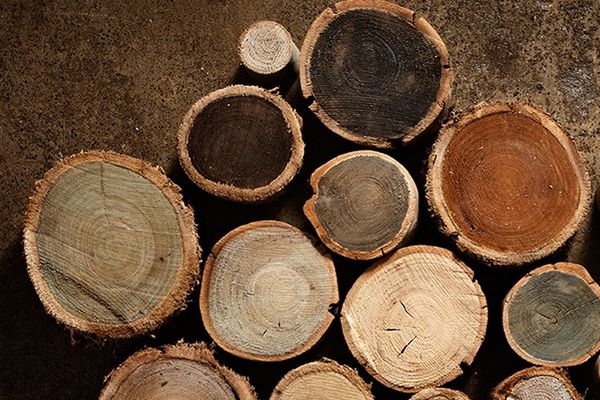 Woodcare colour wheel | ArchitectureAu