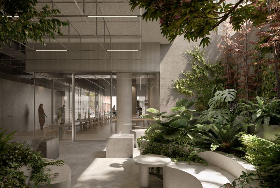Space to breathe in inner-city Collingwood workplace | ArchitectureAu