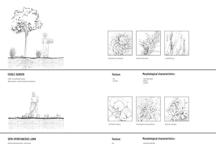 2023 Landscape Architecture Australia Student Prize (Winner): The ...
