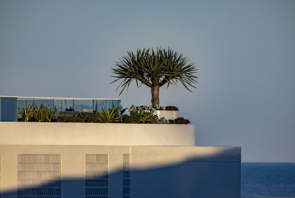 Surf Hotel by Design King Company | ArchitectureAu