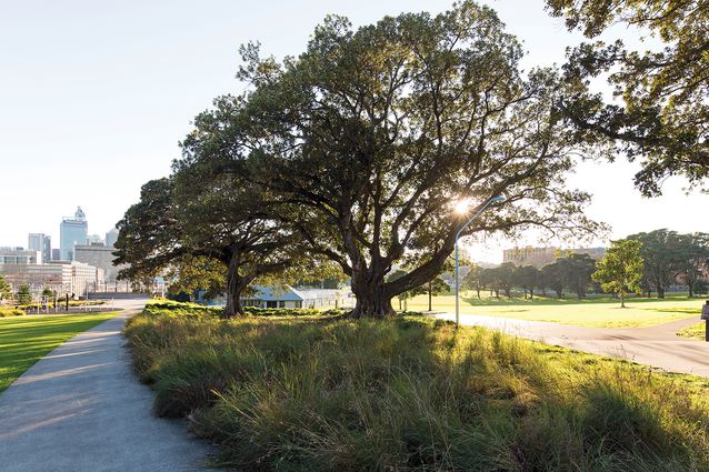 Evidencing the benefits of green space | Landscape Australia