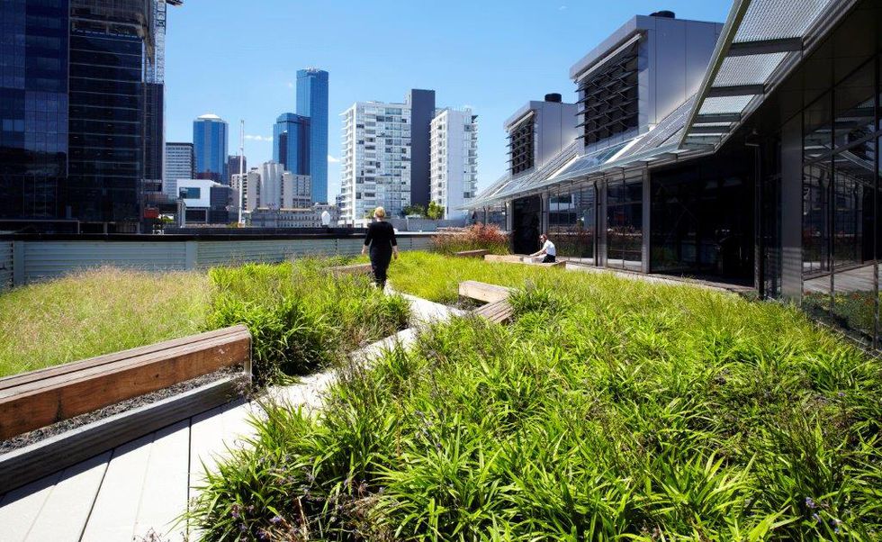 2022 National Landscape Architecture Awards: Climate Positive Design ...