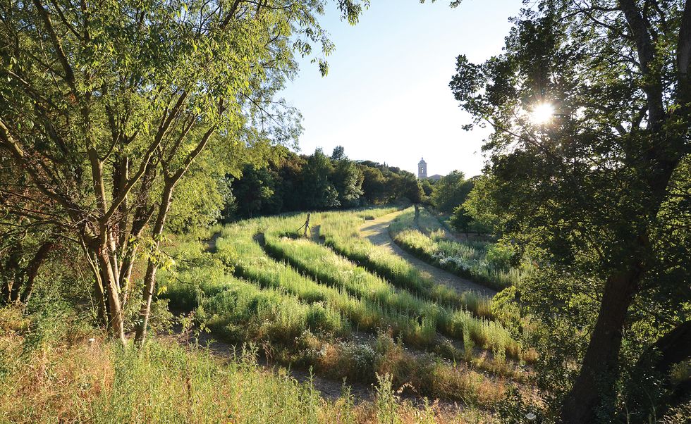 Lo-fi landscapes: Estudi Martí Franch | Landscape Australia