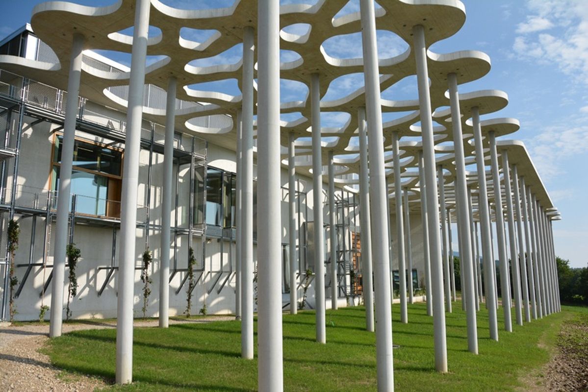 Alison Nobbs: Suspended writer’s cabin | ArchitectureAu