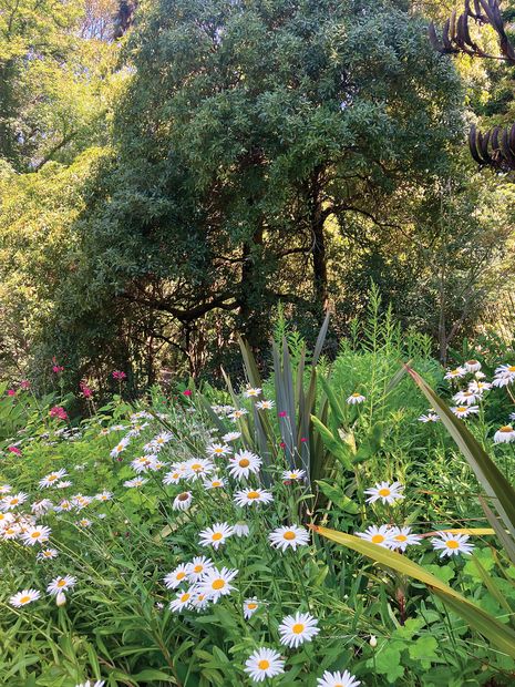 Waste not, want not: Applying "RRR" principles in planting design ...