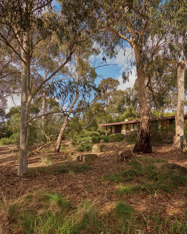 Bush Modern: Borrack House by Sibbel Builders | ArchitectureAu