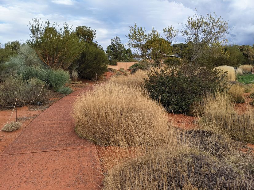 Outback ecologies: Australian Arid Lands Botanic Garden | Landscape ...