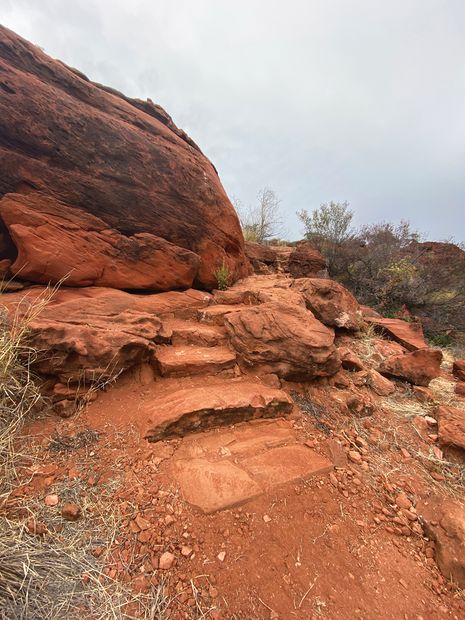 Site lines: Tricky Tracks | Landscape Australia