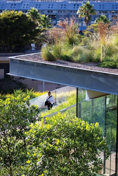 Blending into site: Sydney Modern | Landscape Australia