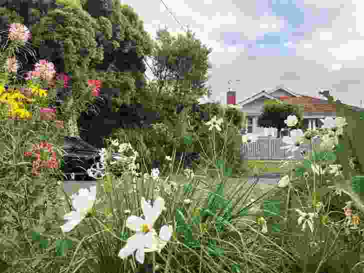 Contested territory: Streetscape as landscape | Landscape Australia