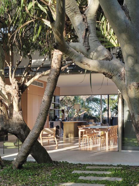 The houses of Bark Architects | ArchitectureAu