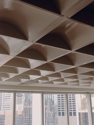 Findex Brisbane by House of Paule | ArchitectureAu