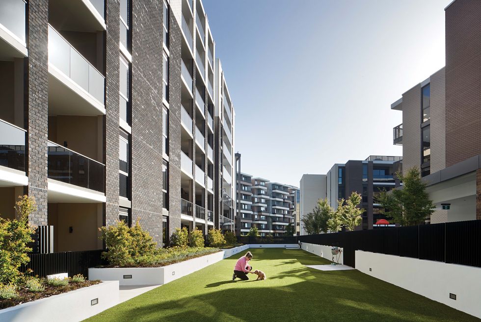 Case studies: Built-to-rent developments | ArchitectureAu