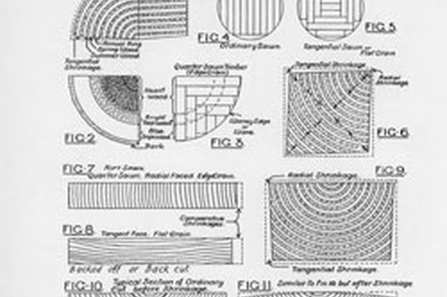 Rhetoric and tone | ArchitectureAu