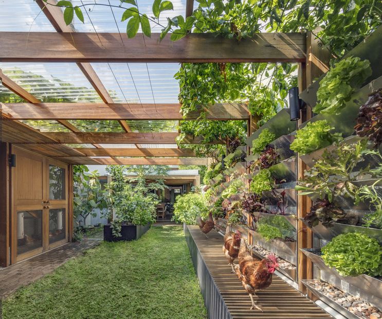 The House of Green: Natural Homes and Biophilic Architecture ...